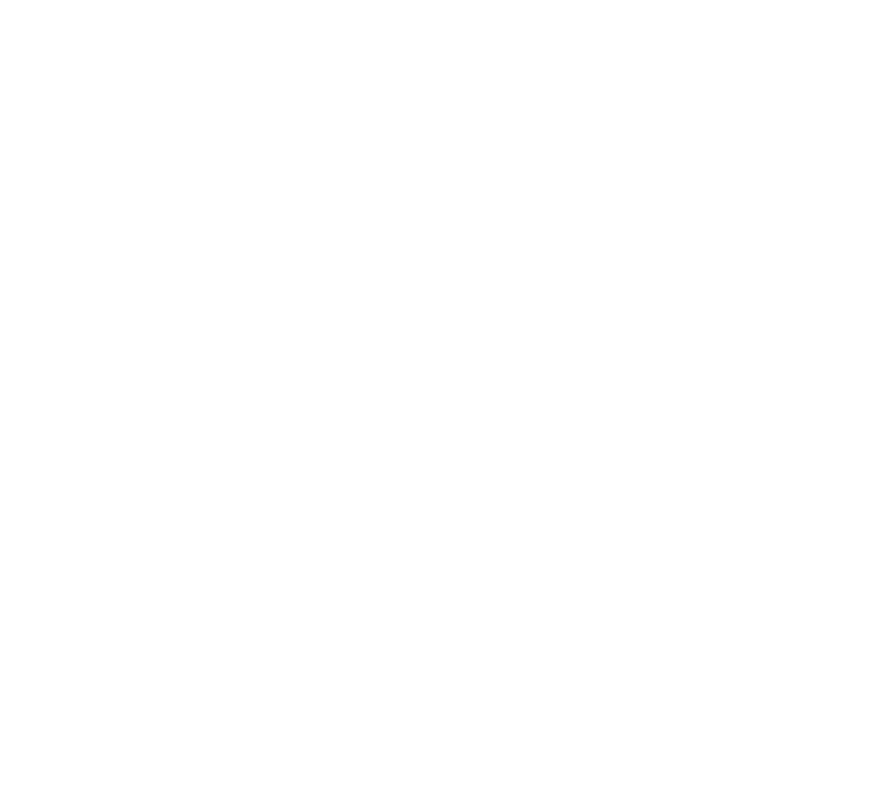 Der Neuromaster: Professionelles Biofeedback Gerät | Insight Instruments