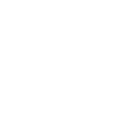 Der Neuromaster: Professionelles Biofeedback Gerät | Insight Instruments