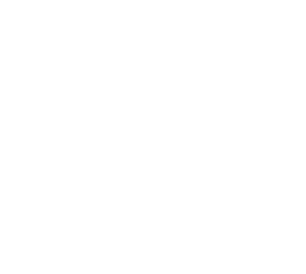 Der Neuromaster: Professionelles Biofeedback Gerät | Insight Instruments