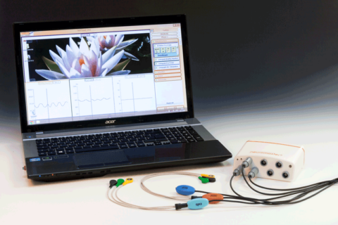 Was ist Biofeedback? | Insight Instruments