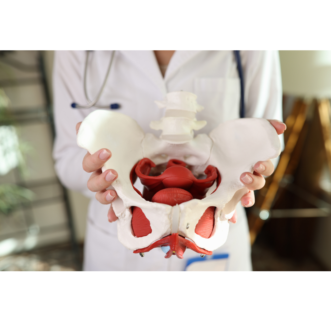 Effektive Behandlung von Inkontinenz: Vorteile von Biofeedback im ...